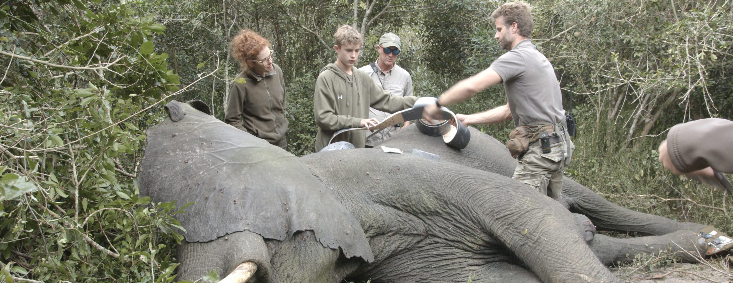 Strengthening Human-Wildlife Coexistence for Sustainable Conservation ...